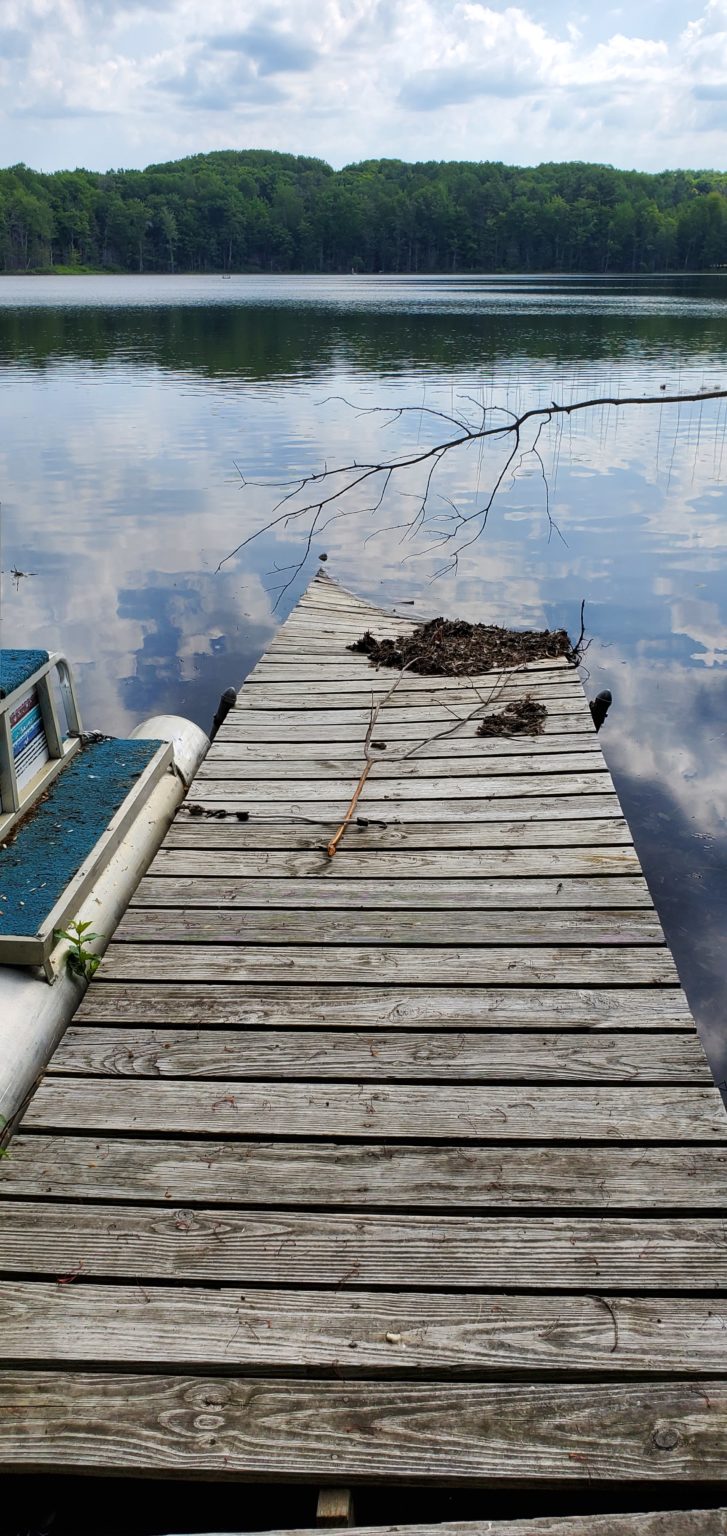Old Dock is Replaced – Forths.com